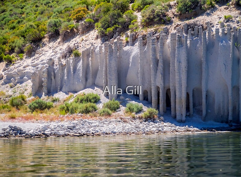 "Natural Columns" by Alla Gill | Redbubble