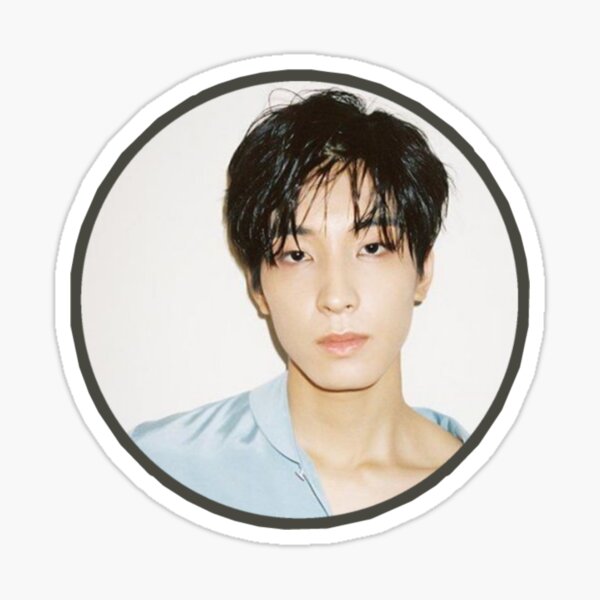 "Seventeen Wonwoo" Sticker by straykings | Redbubble
