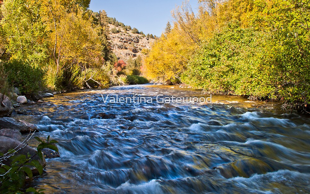 "Fall River" by Valentina Gatewood | Redbubble