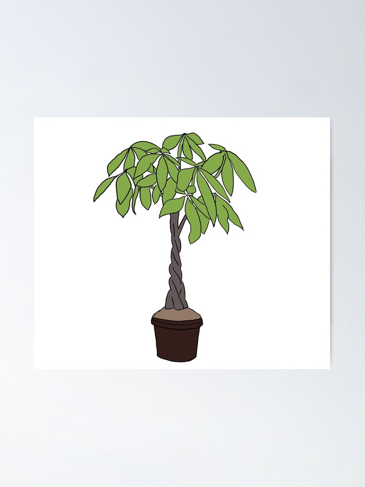 "Money tree" Poster for Sale by willowsbunnies | Redbubble