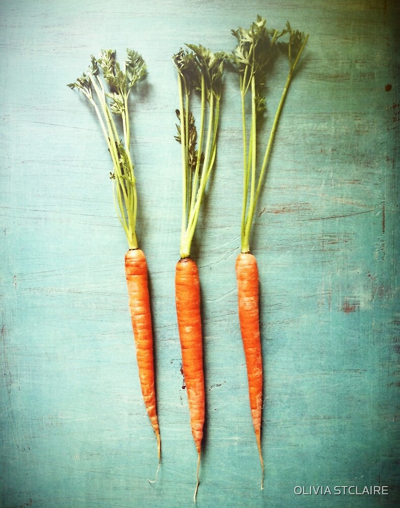 "Three Carrots" by OLIVIA STCLAIRE | Redbubble