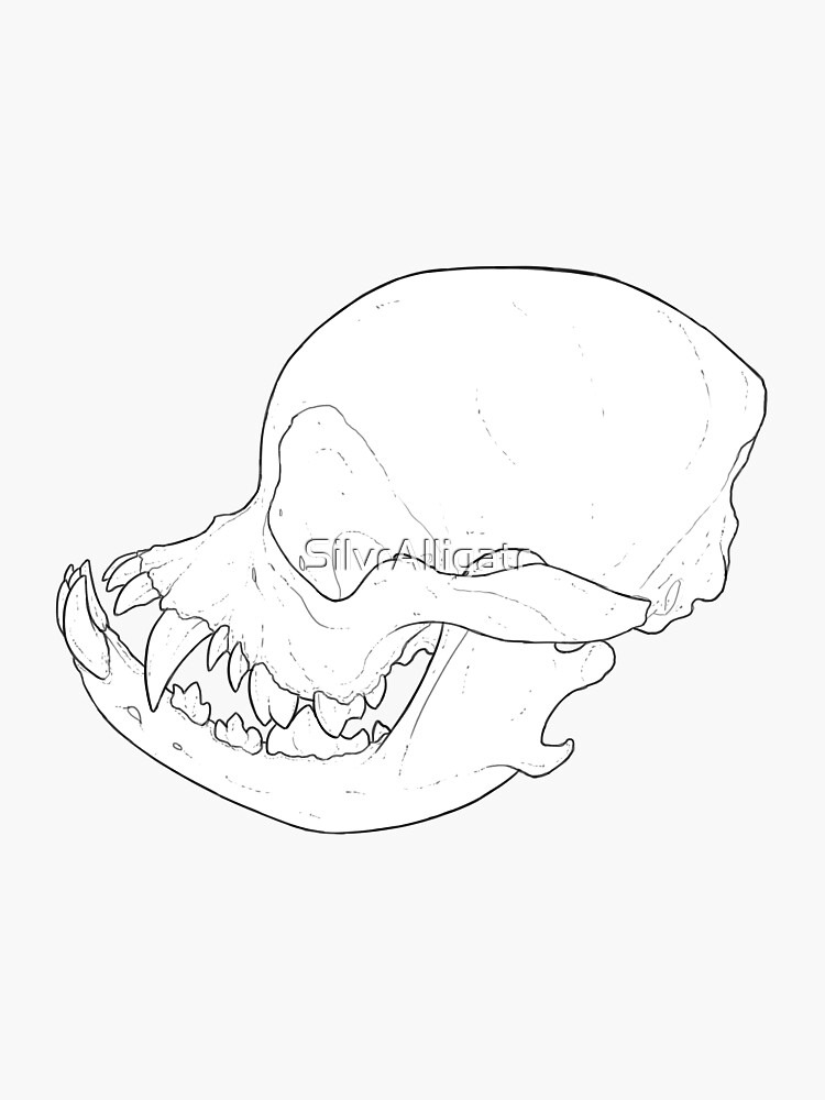 "Boston Terrier Skull" Sticker by T-VR | Redbubble