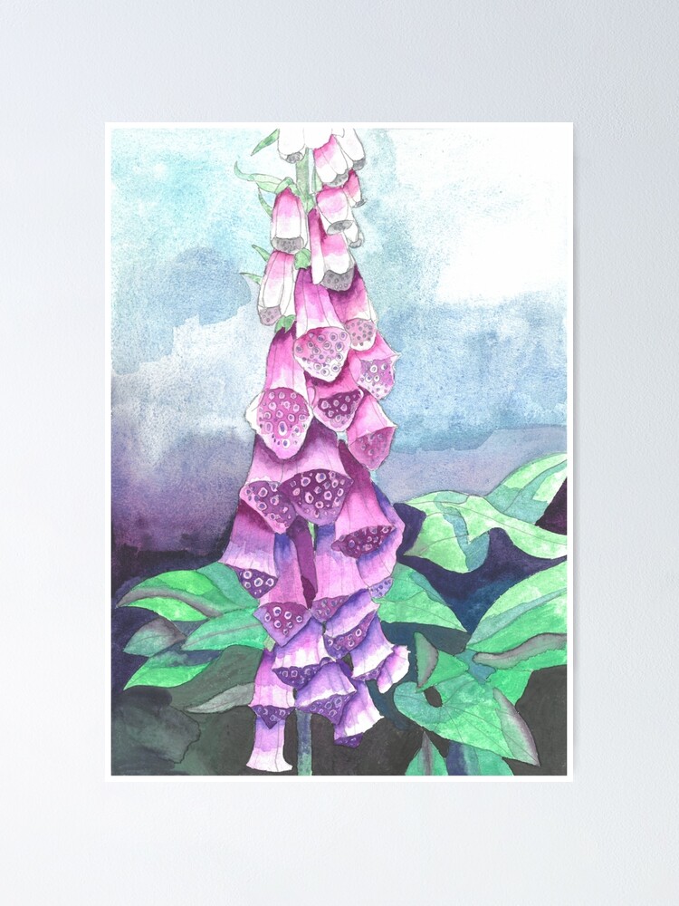 "Foxglove watercolour flower painting" Poster for Sale by esvb | Redbubble
