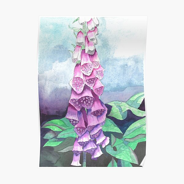 "Foxglove watercolour flower painting" Poster for Sale by esvb | Redbubble