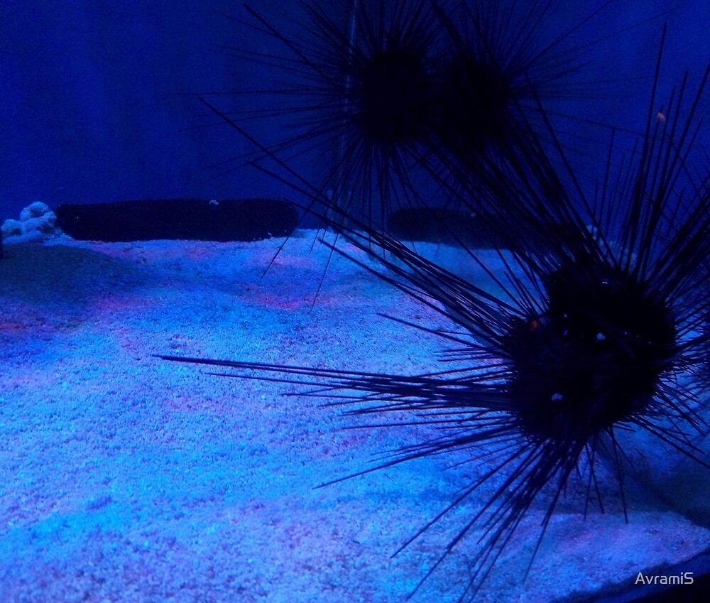 "Spiky sea creatures with blue background" by AvramiS | Redbubble