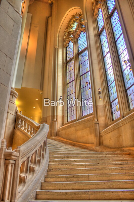 "Stairs to Suzzallo Library, University of Washington" by Barb White ...