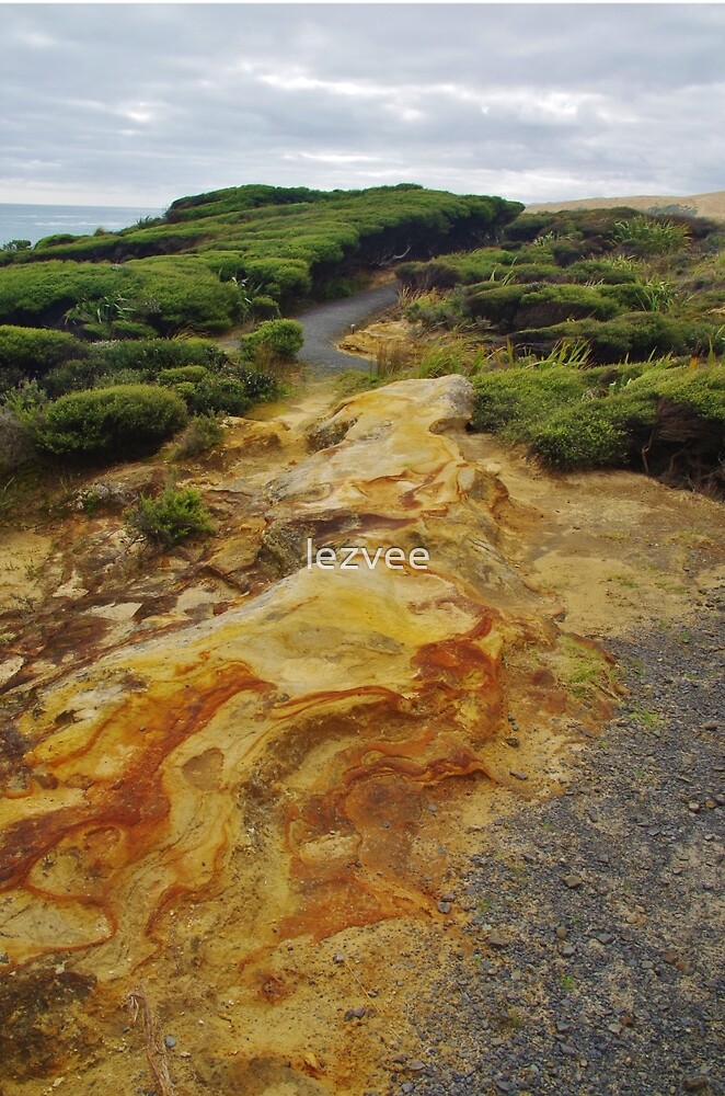 "Waimamaku (2)" by lezvee | Redbubble