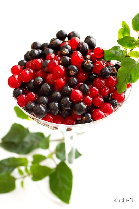 "Red and Black Currants" by Kasia-D | Redbubble