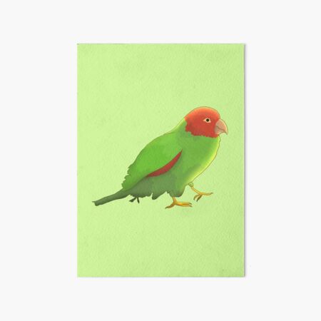 "Parrot Is Looking Confused" Art Board Print by squishiesticker | Redbubble