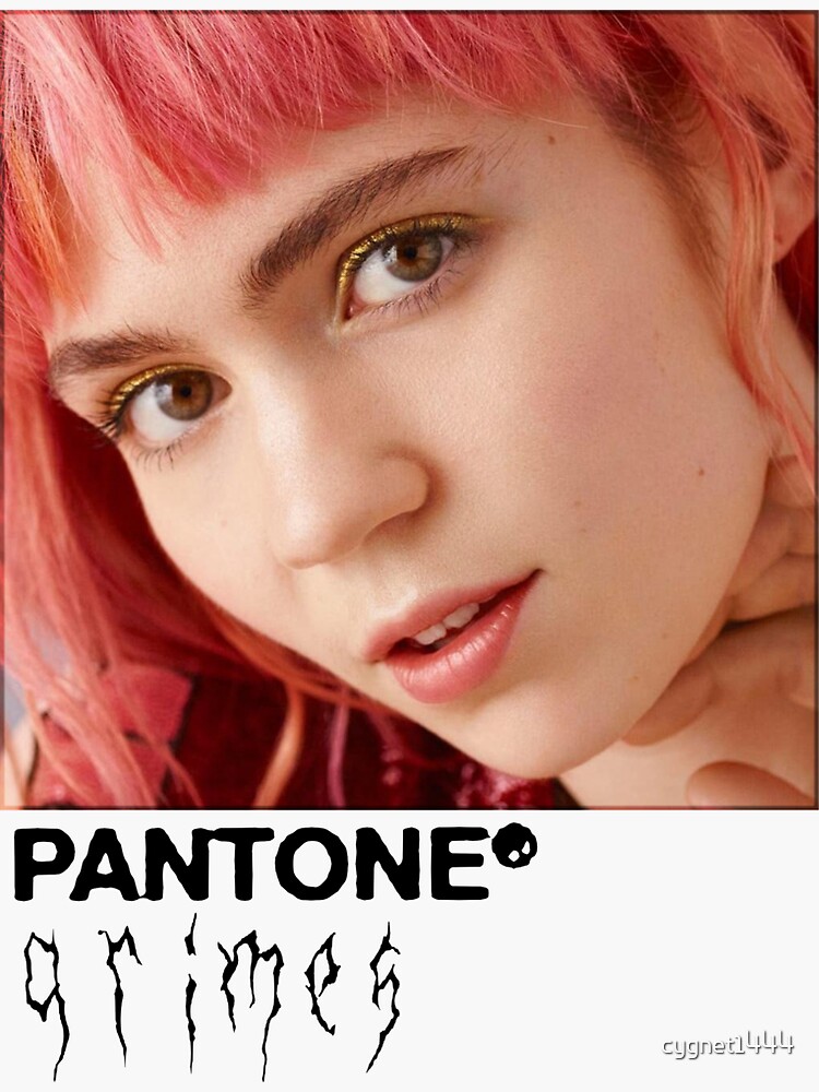 "grimes" Sticker for Sale by desmodontinae | Redbubble