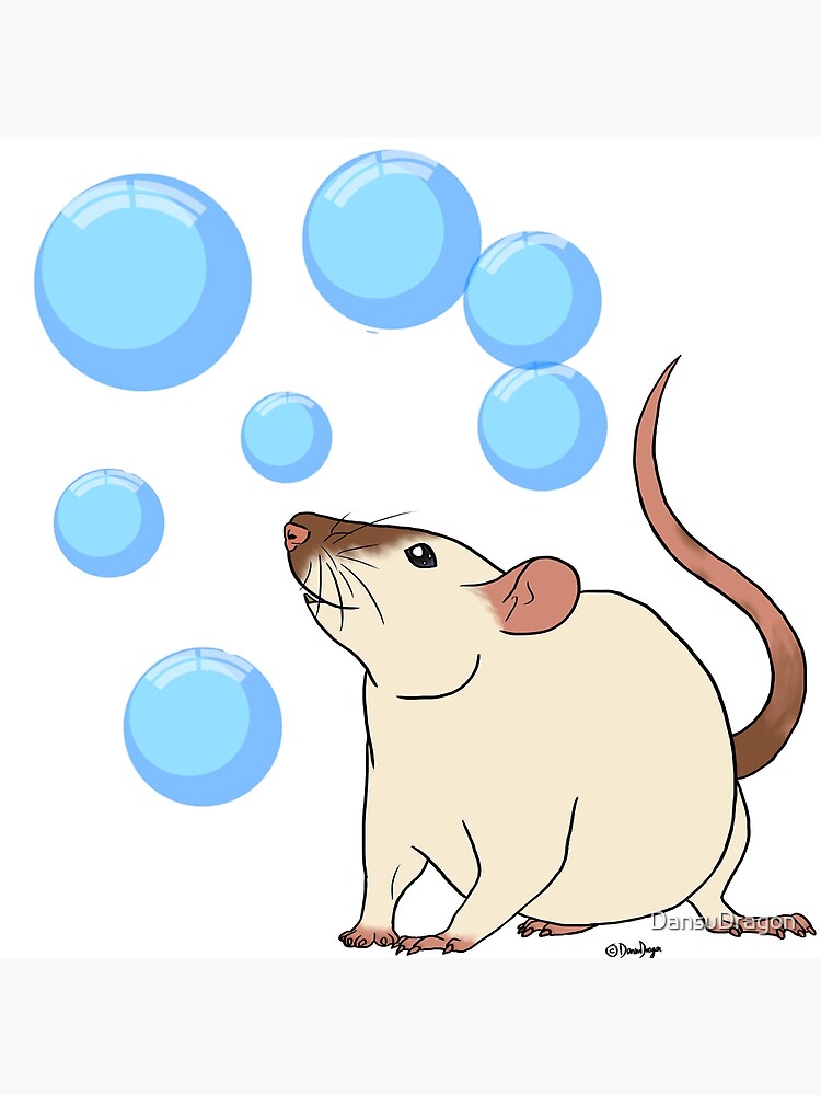 "Bubble Rat" Poster by DansuDragon | Redbubble