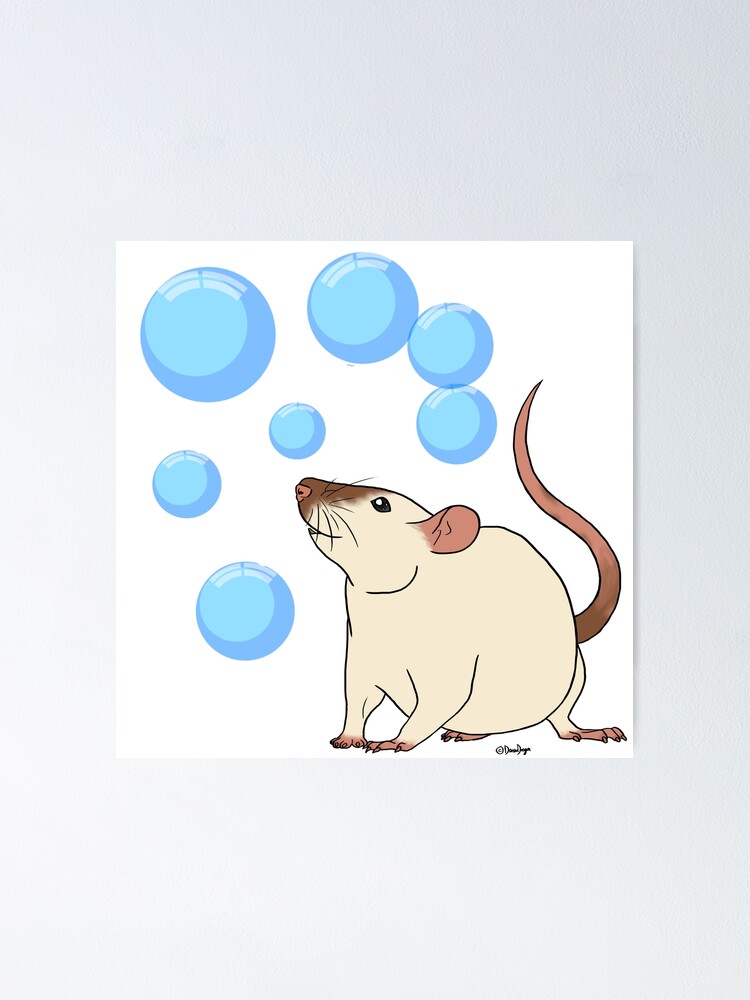 "Bubble Rat" Poster by DansuDragon | Redbubble