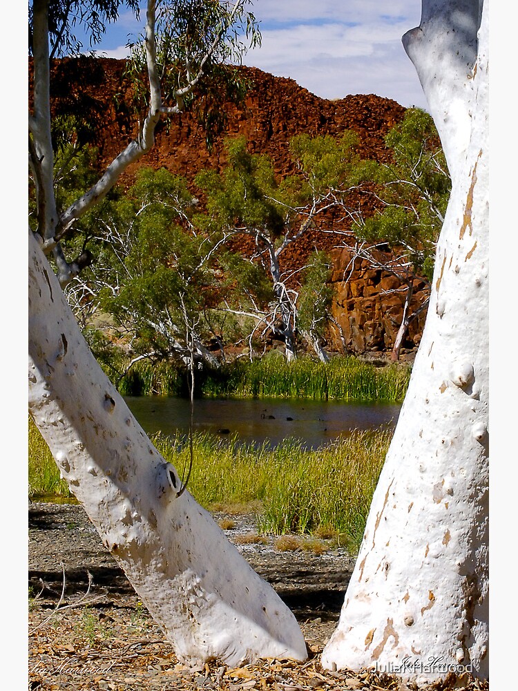 "Harding Dam, Western Australia" Poster by JuliaKHarwood | Redbubble