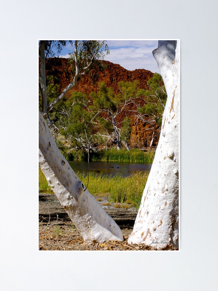 "Harding Dam, Western Australia" Poster by JuliaKHarwood | Redbubble