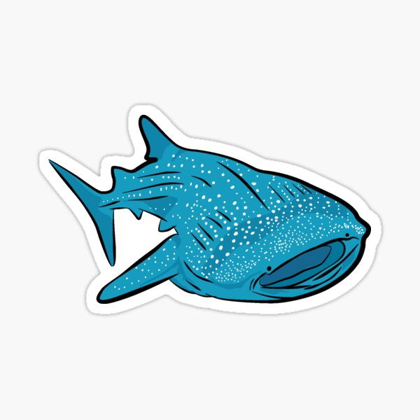 "Blue Whale shark fish" Sticker by anaube | Redbubble