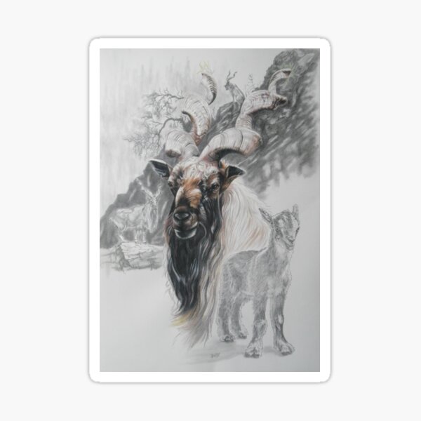 "Markhor Goat Collage" Sticker for Sale by BarbBarcikKeith | Redbubble