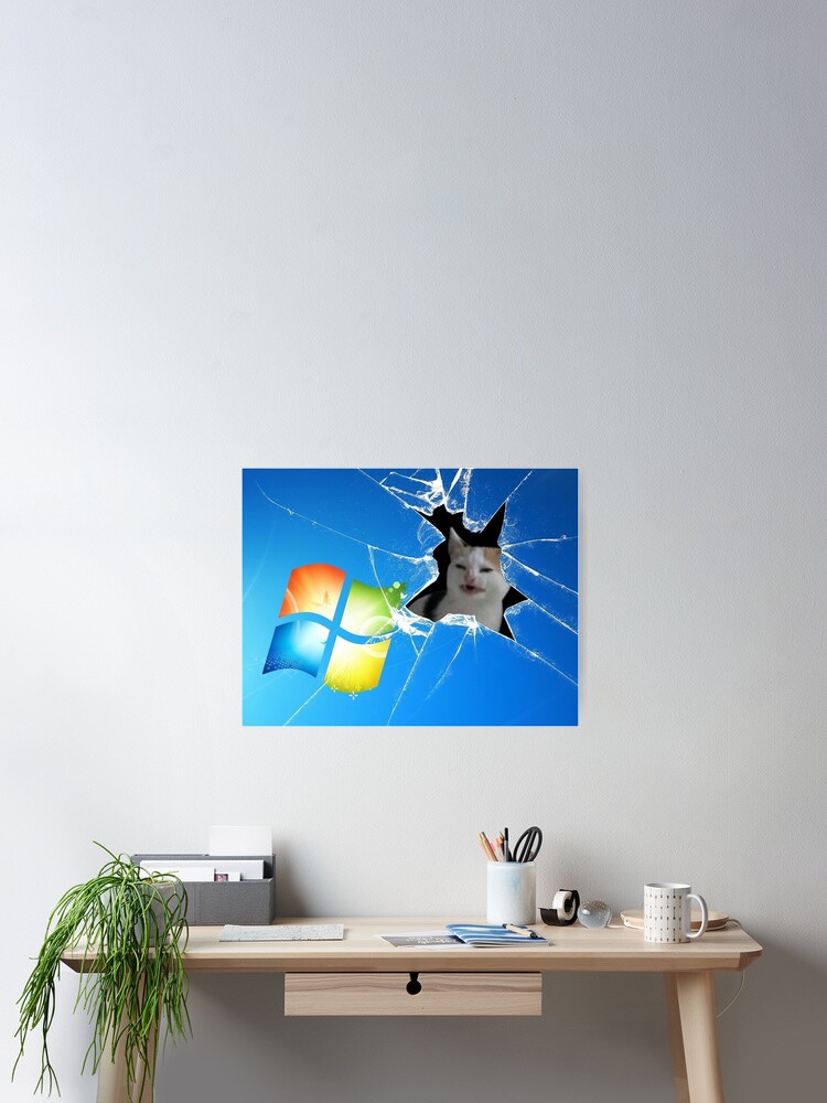 "Windows 7 Cat (Bigger)" Poster for Sale by MisterHP | Redbubble