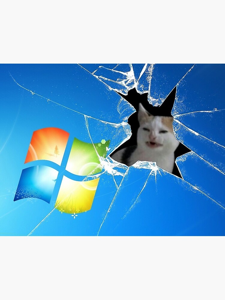 "Windows 7 Cat (Bigger)" Poster for Sale by MisterHP | Redbubble