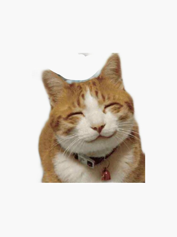 "pleased cat" Sticker for Sale by indiaellison | Redbubble