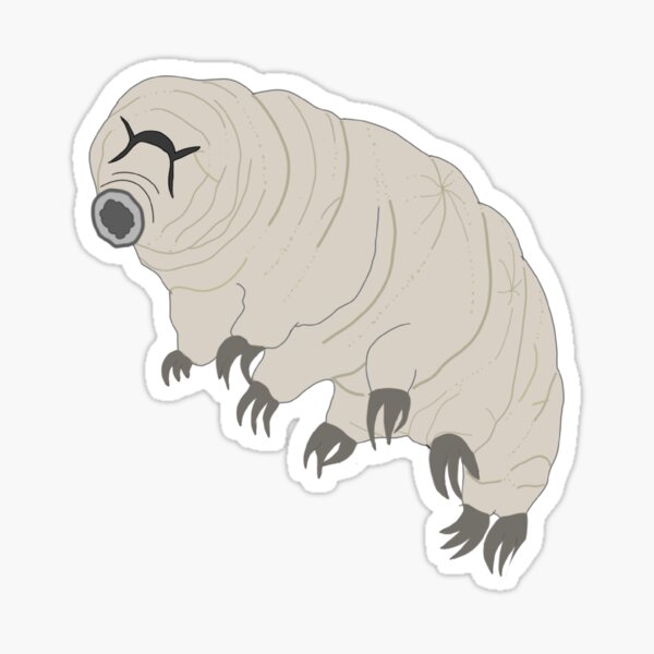 "Tardigrade Waterbear" Sticker by EggiestEggo | Redbubble