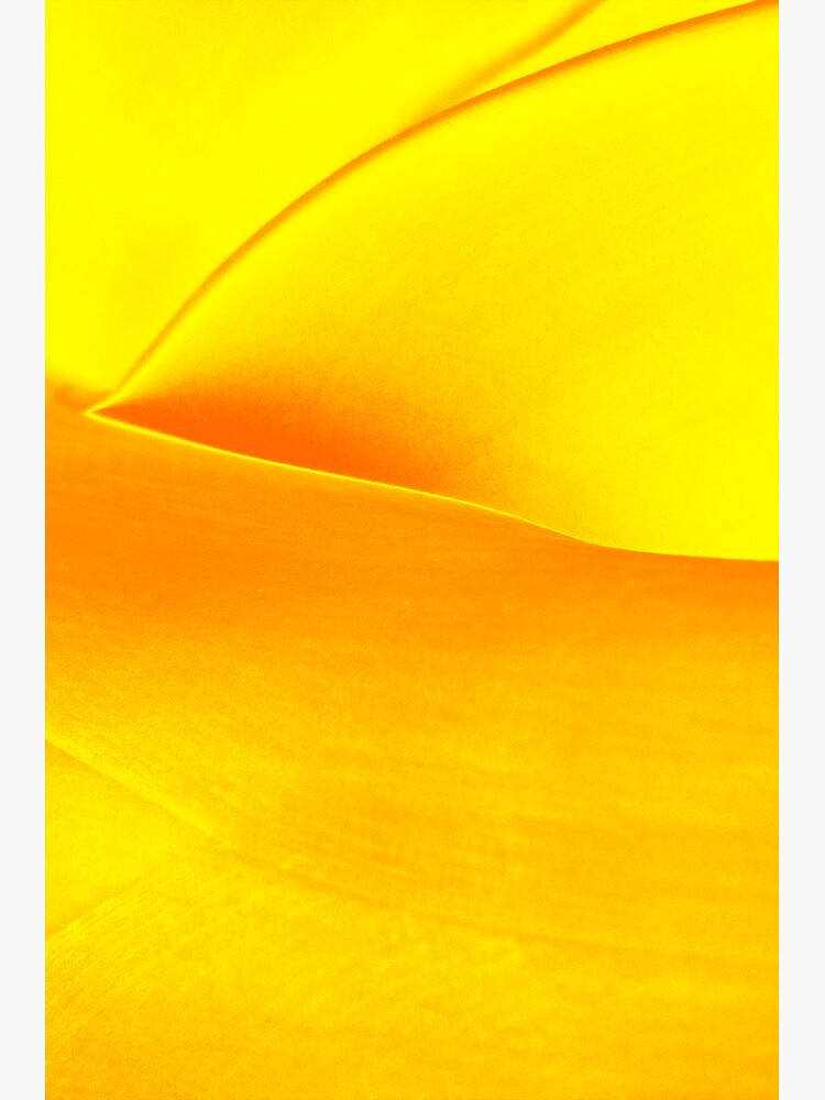 Lámina fotográfica « desaturados y lavados en amarillos. Experimento de ...