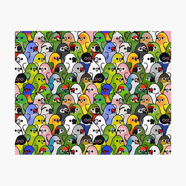 "Too Many Birds! Bird Squad 2" Photographic Print for Sale by ...