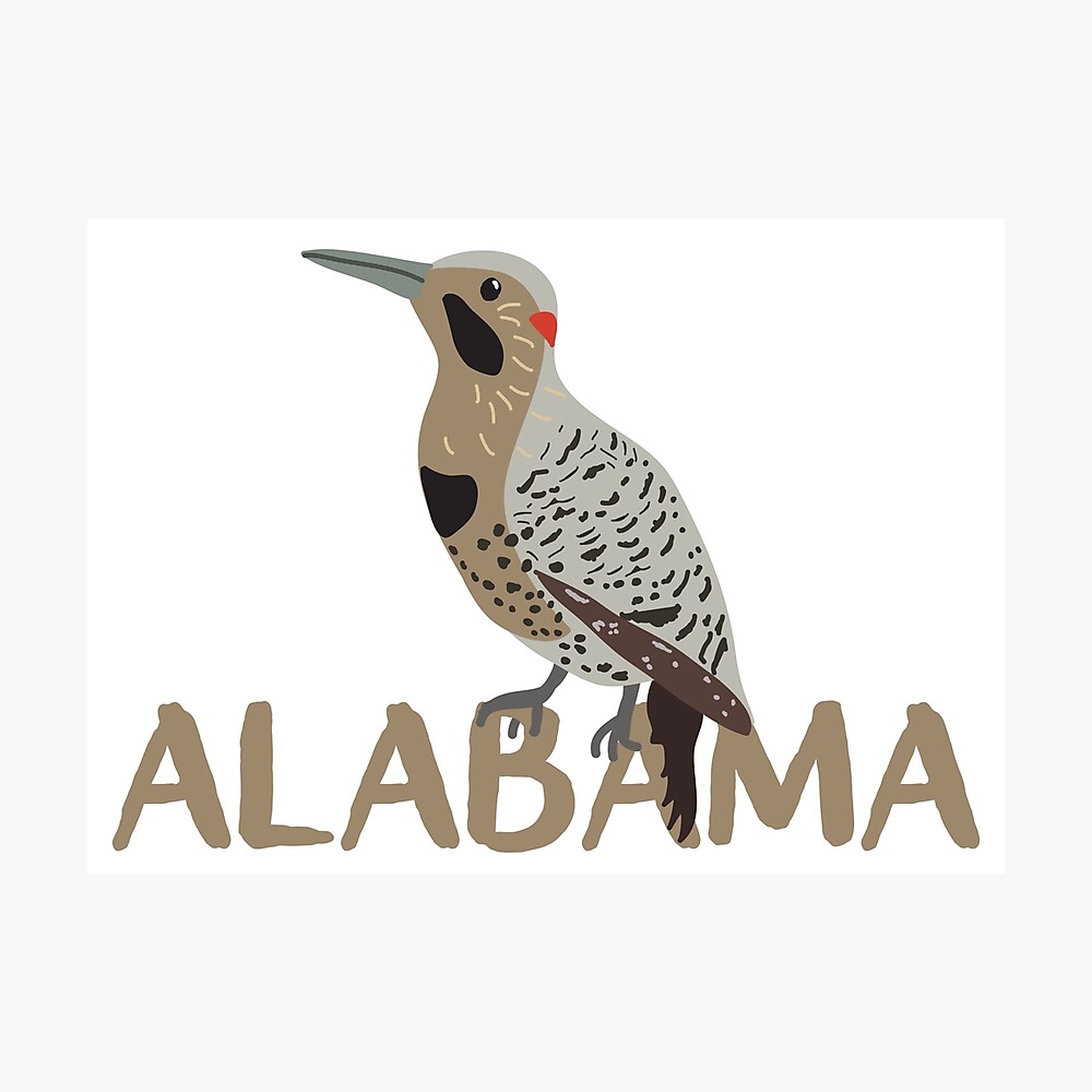 Indianapolis Mall The Yellowhammer - Alabama State Bird 1819 Novelty ...