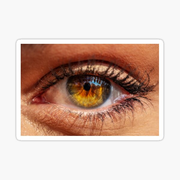 Hazel Eyes Stickers | Redbubble