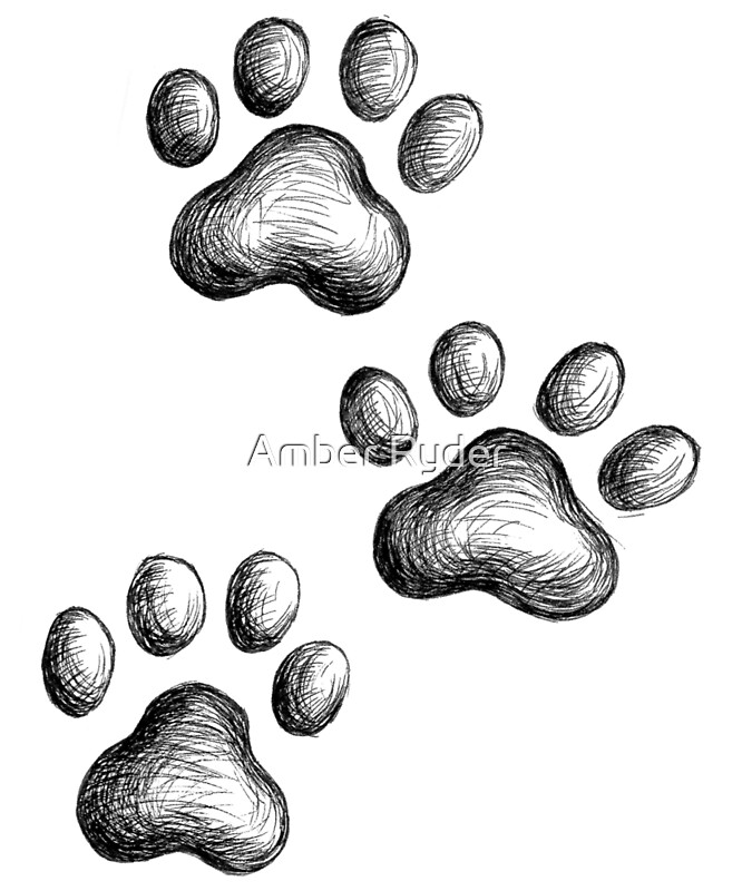 "Paw Print Sketch, Sketchy Paw Prints" by Amber Ryder | Redbubble