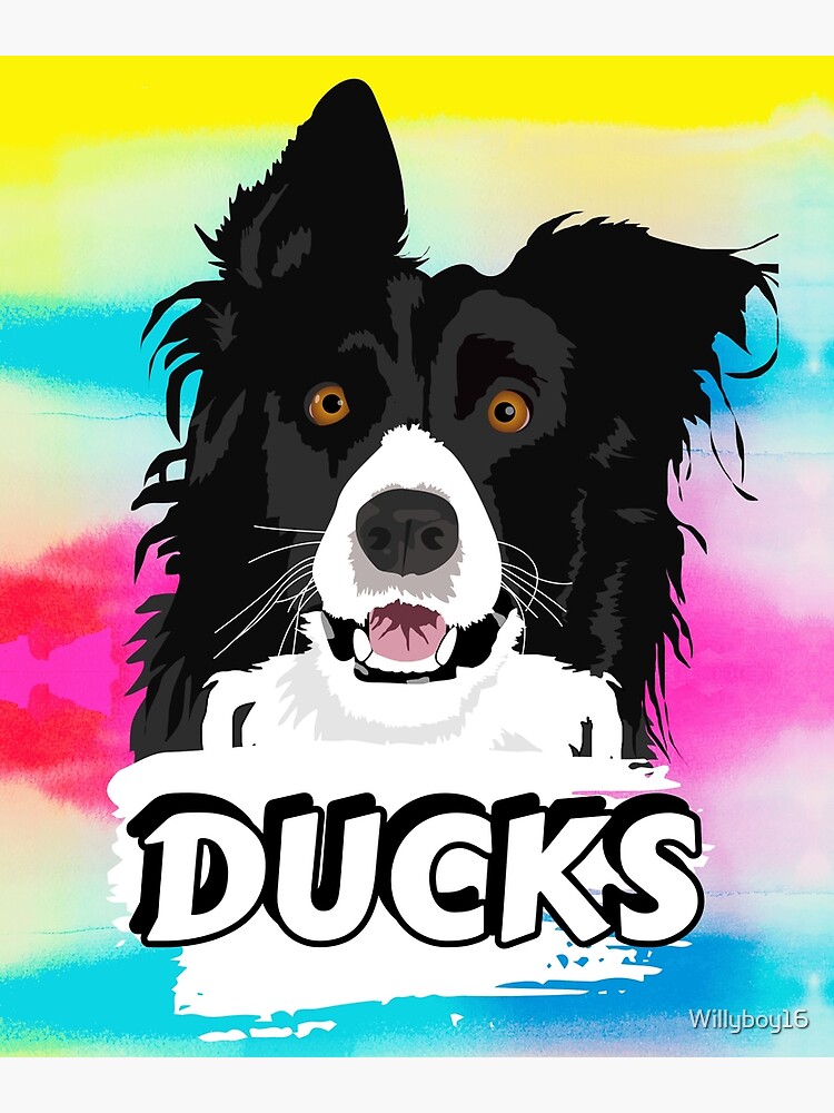 "Border Collie Duck Herding Dog Stickers & Gifts" Art Print for Sale by ...