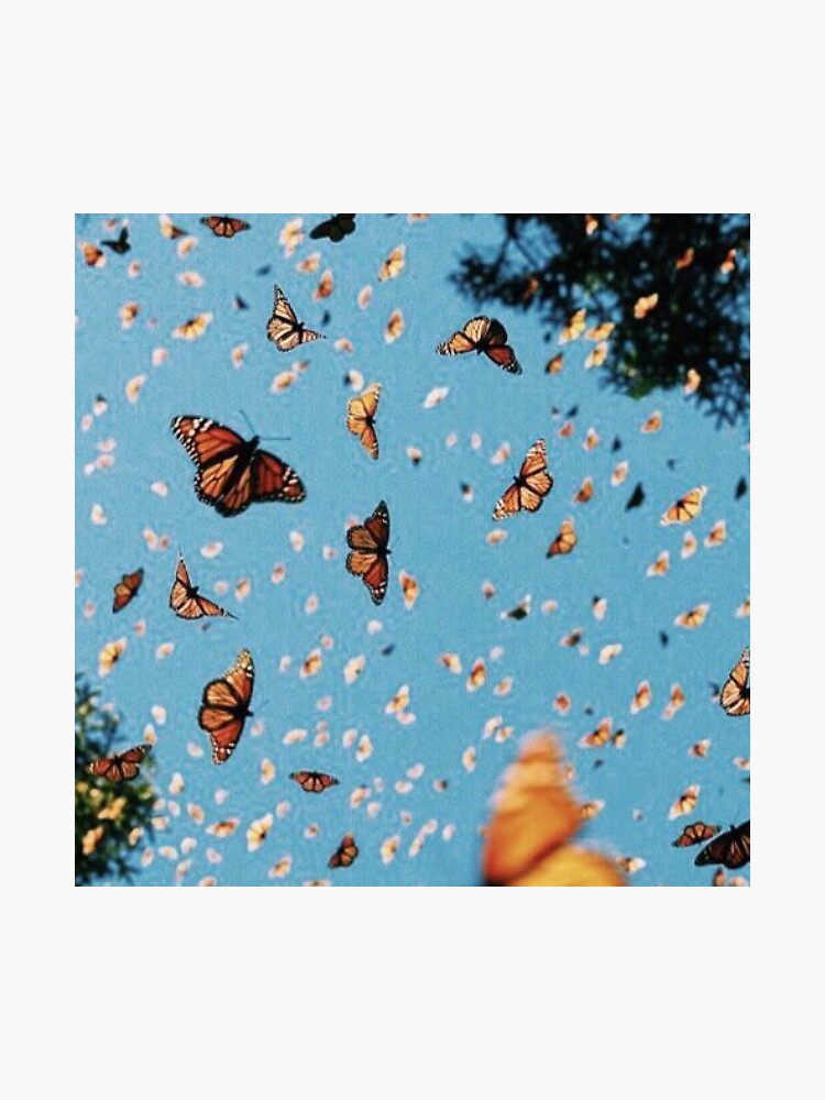 "Vsco butterfly sticker" Sticker for Sale by katteexo | Redbubble
