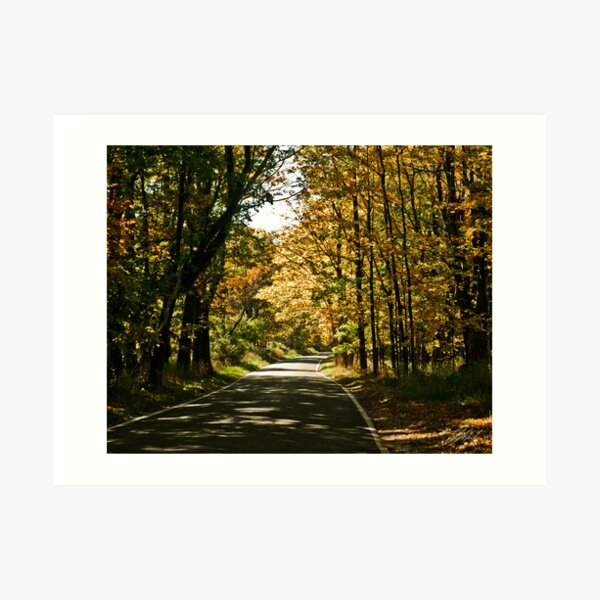 Tunnel Of Trees Art Prints | Redbubble