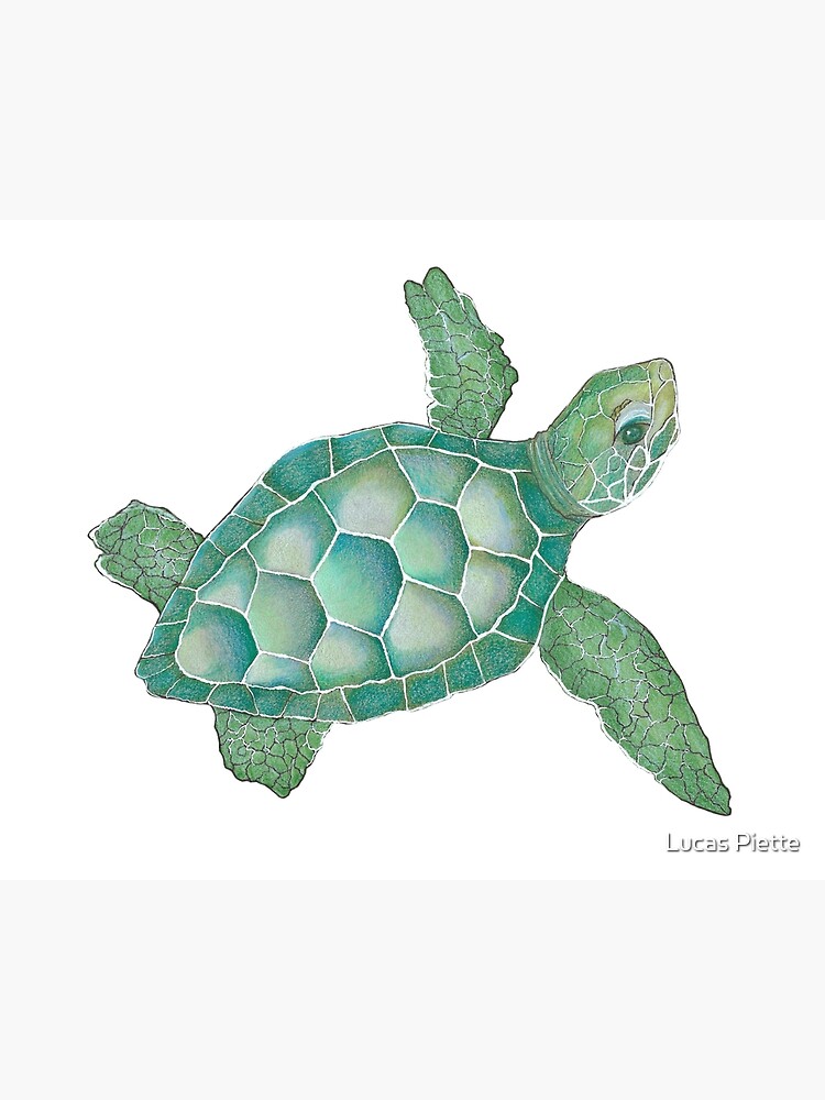 "Sea Turtle Colored Pencil Design" Art Print for Sale by lucaspiette ...