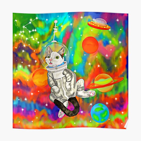 "Space Kitty" Poster for Sale by BlakeMoriarty | Redbubble