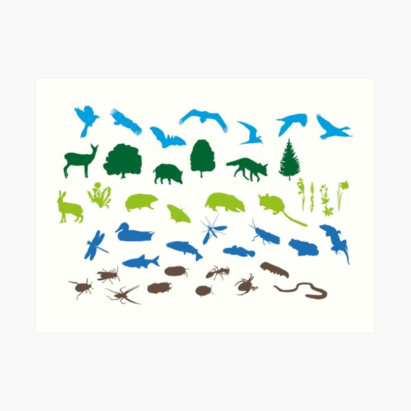 Biodiversity Art Prints | Redbubble