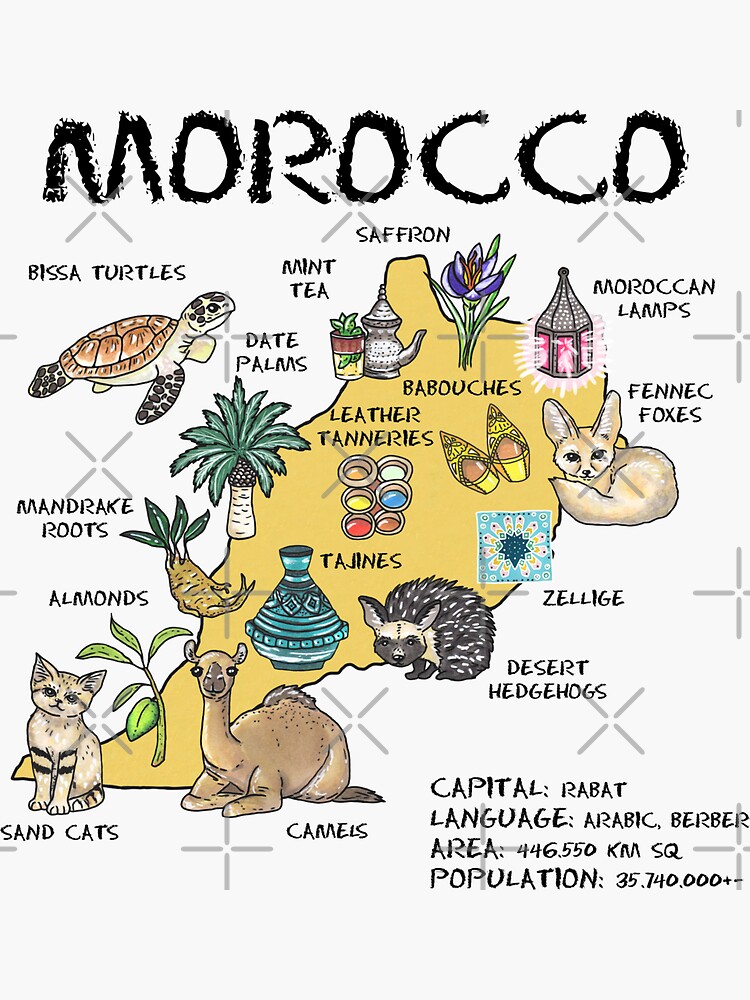 "Morocco - illustrated map" Sticker for Sale by BeeHappyShop | Redbubble