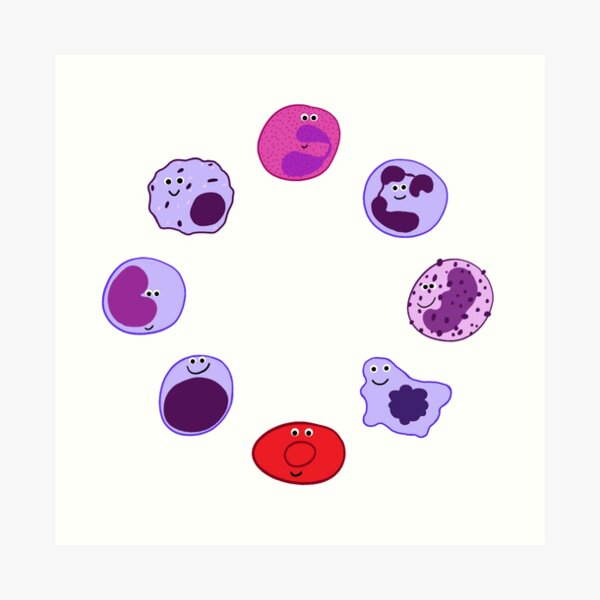 "Smiley Blood Cells" Art Print for Sale by starrypanda | Redbubble