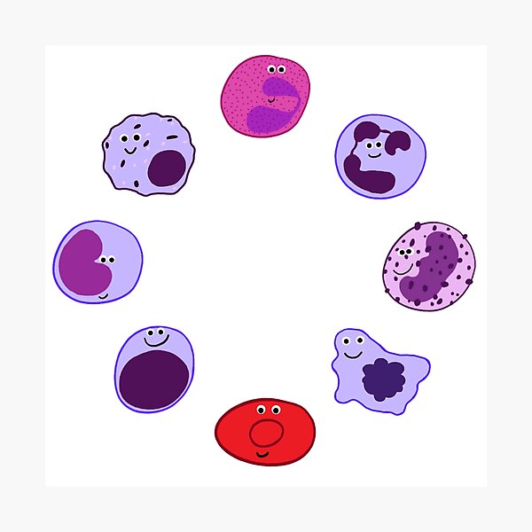 "Smiley Blood Cells" Photographic Print for Sale by starrypanda | Redbubble
