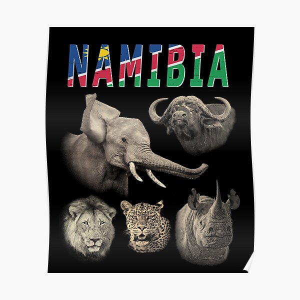 Póster «Big Five Namibia Safari» de scotch | Redbubble