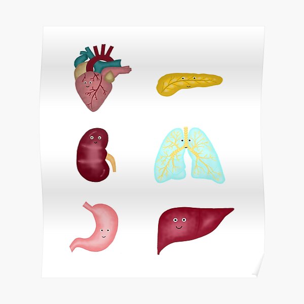 "Smiley Organs" Poster by starrypanda | Redbubble