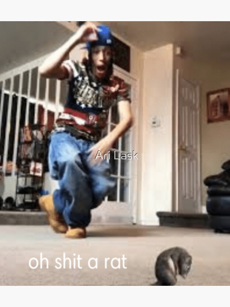"Oh shi*t a rat meme" Sticker for Sale by arpitalasker | Redbubble
