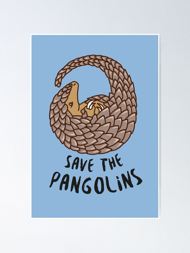 "Save the Pangolins - Curled up Pangolin" Poster for Sale by Bangtees ...