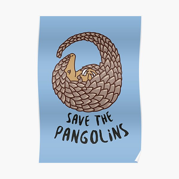 "Save the Pangolins - Curled up Pangolin" Poster for Sale by Bangtees ...