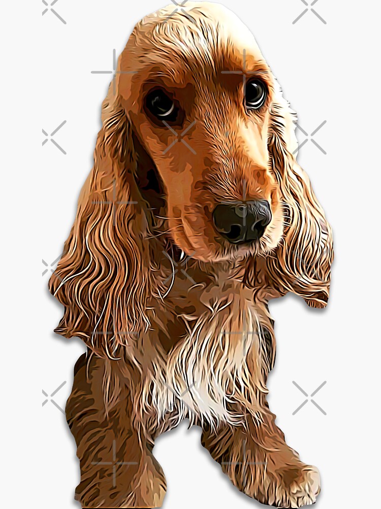 "Cocker Spaniel Sticker - English Cocker Spaniel (Gold) " Sticker by ...