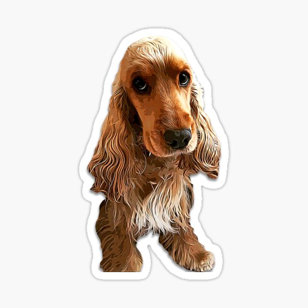 "Cocker Spaniel Sticker - English Cocker Spaniel (Gold) " Sticker by ...