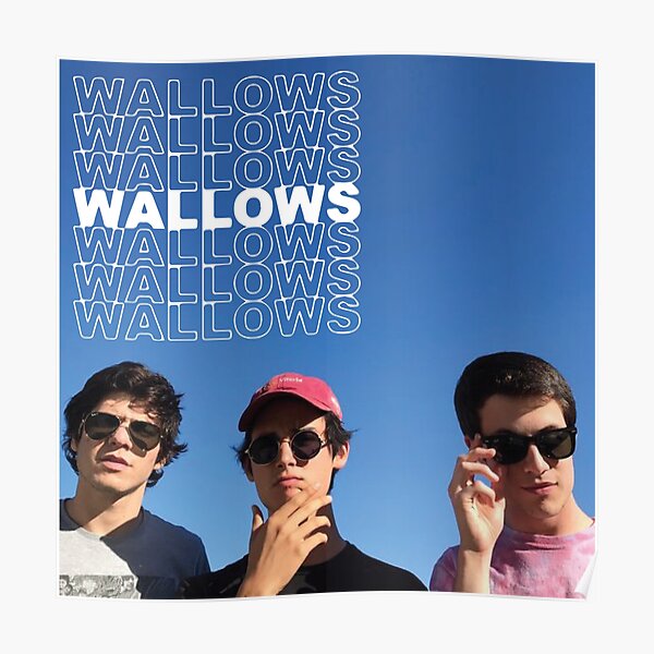 Wallows Posters | Redbubble