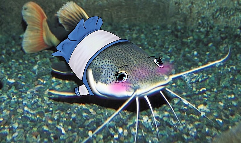 "Anime Catfish" by Ncsart | Redbubble
