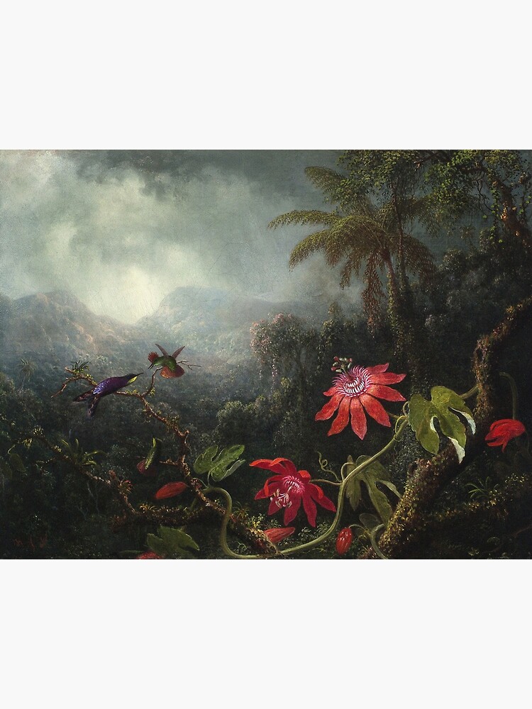 "Martin Johnson Heade - Passion Flowers and Hummingbirds" Poster by ...