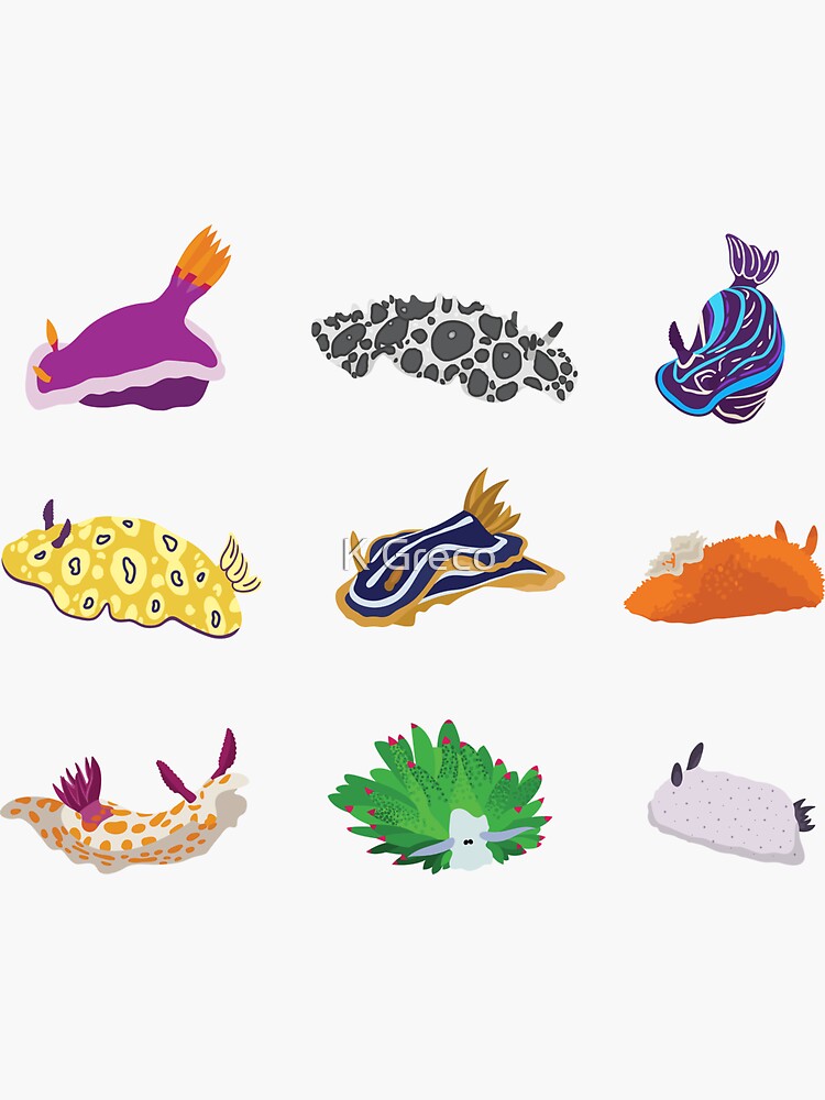 "Nudibranch Sea Slugs" Sticker for Sale by k-businessbitch | Redbubble