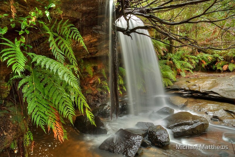 "Ferns & flow at Girrakool" by Michael Matthews | Redbubble